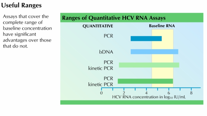 HCV_Diagnosis_and_Therapeutic_Monitoring